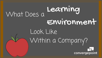 What does a Workplace Learning Environment Look Like?